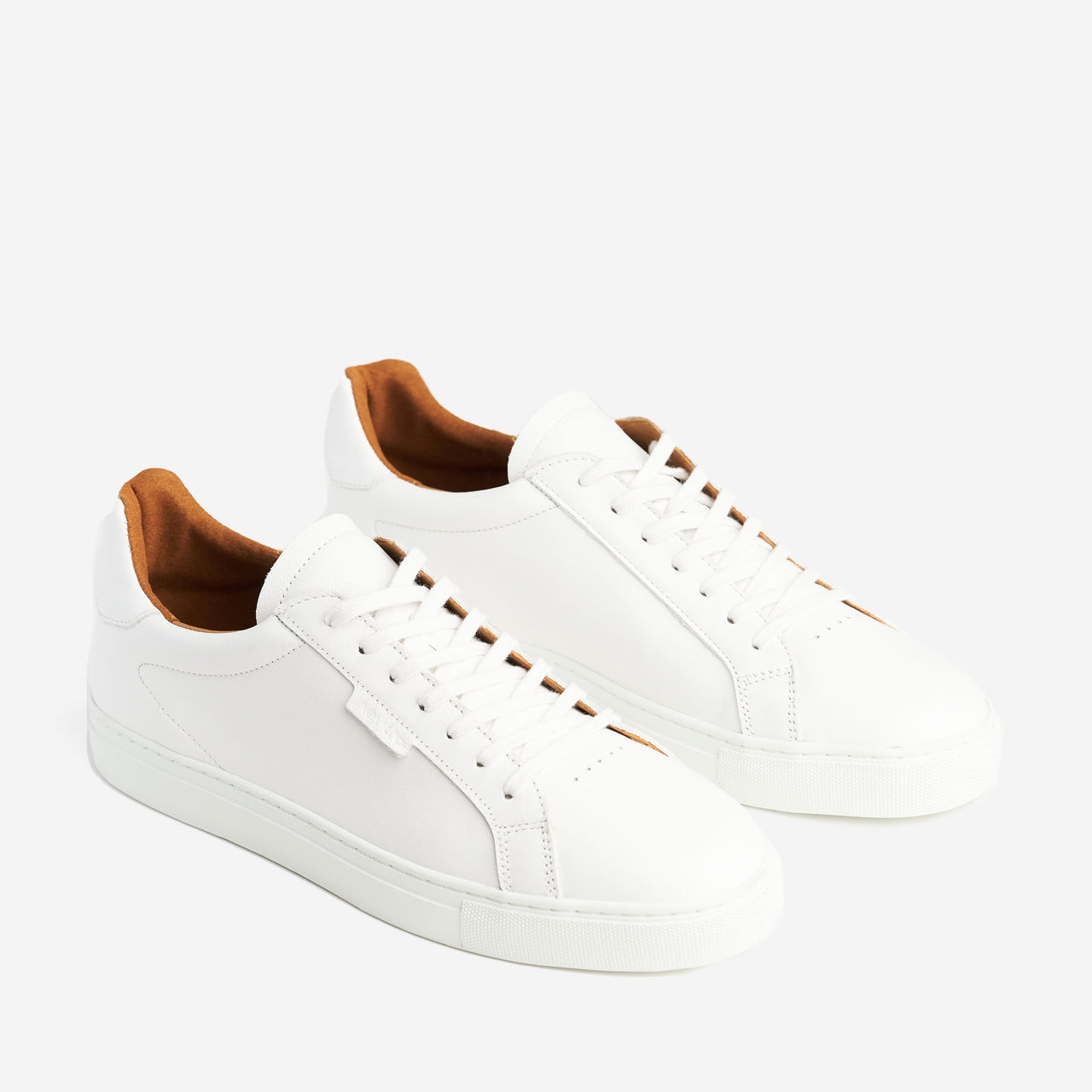 All – Neutra